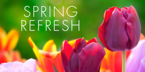 A Pretty Spring Refresher for Your Table - Conklyn's Florist