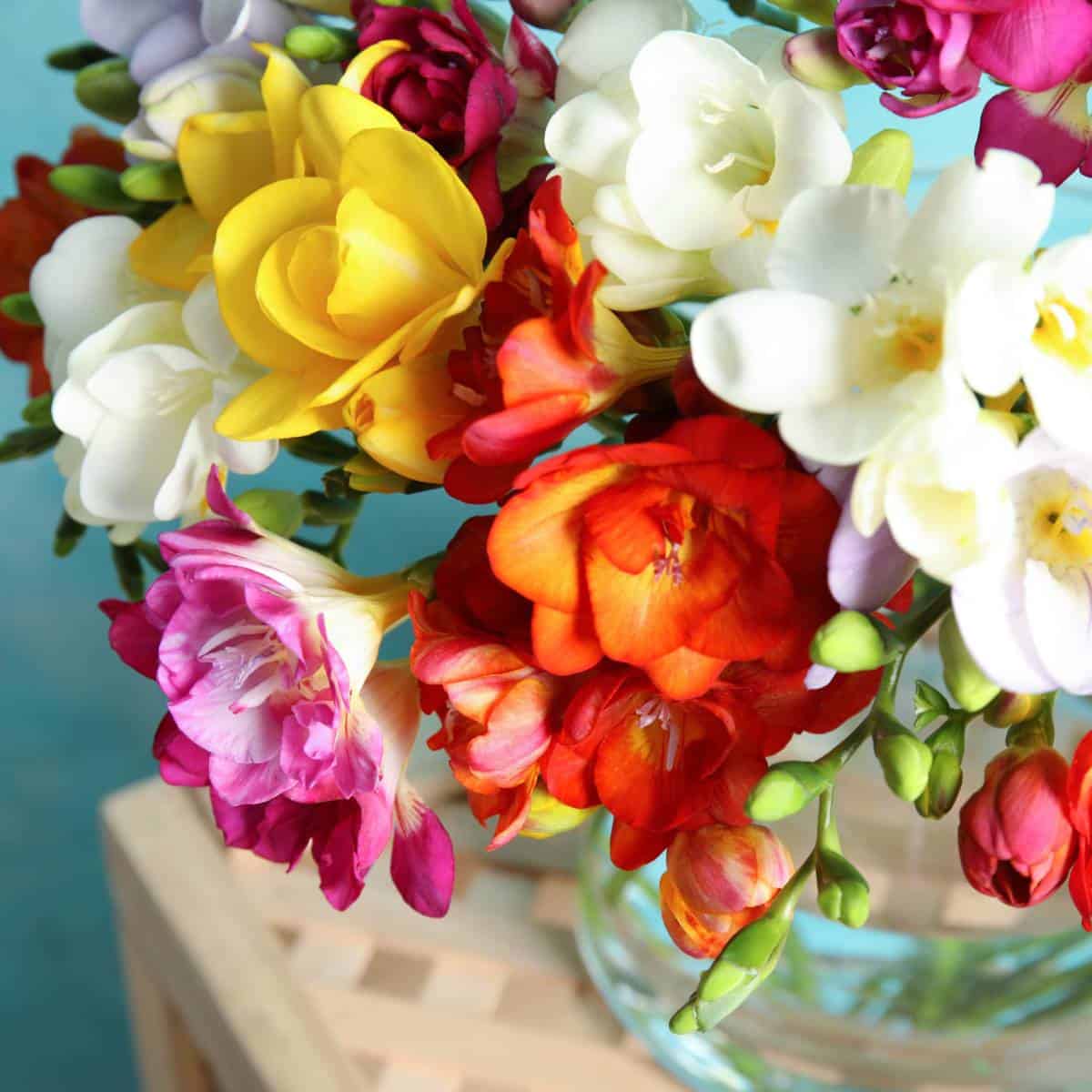 The Best of Spring Flowers - Conklyn's Florist